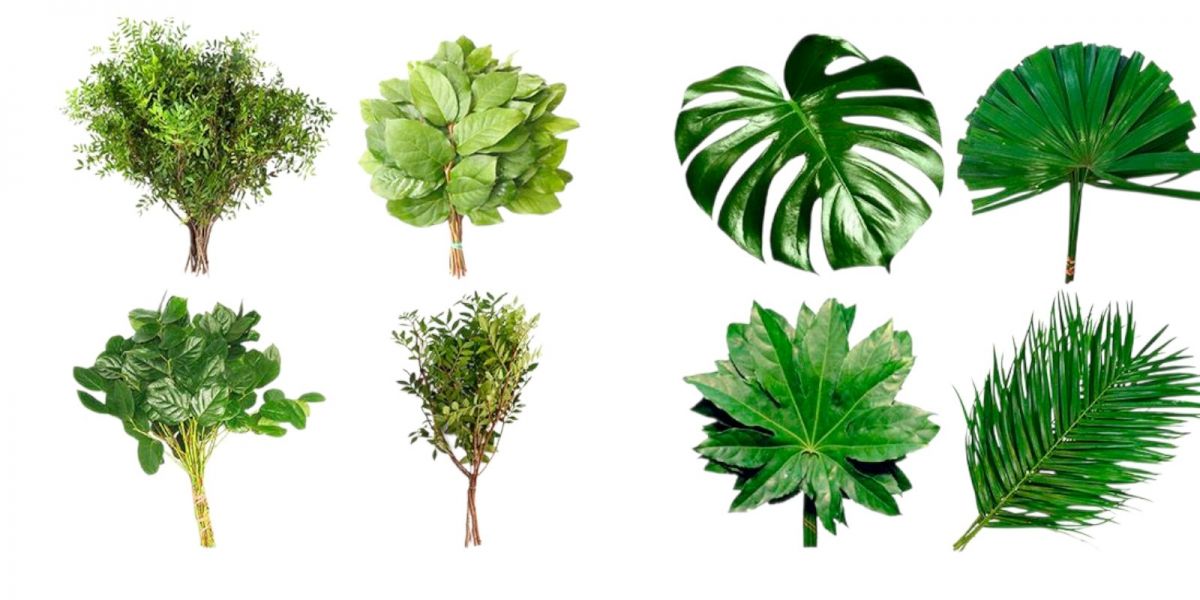 Зелень Флористична